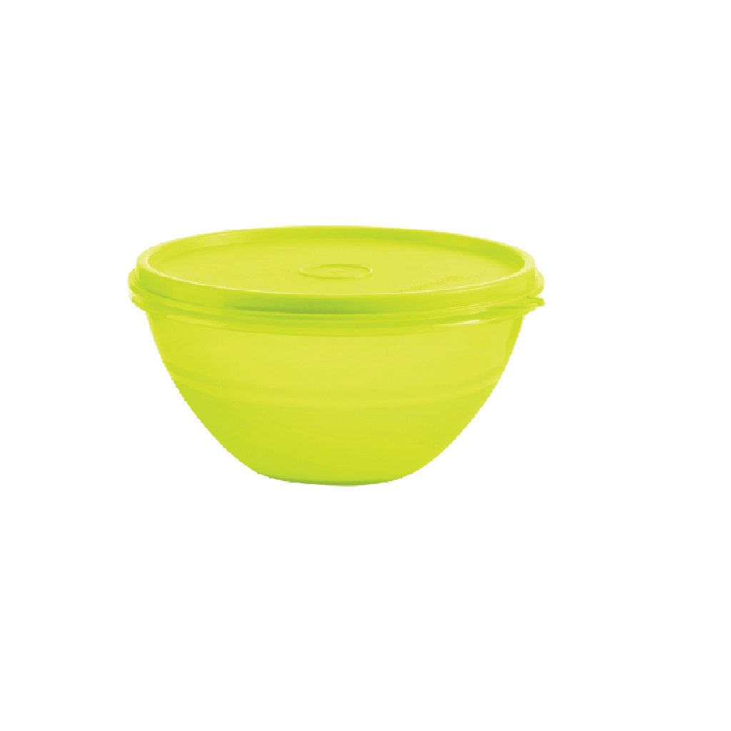 Bowl Maravilloso 500 Ml – Tupperware Argentina